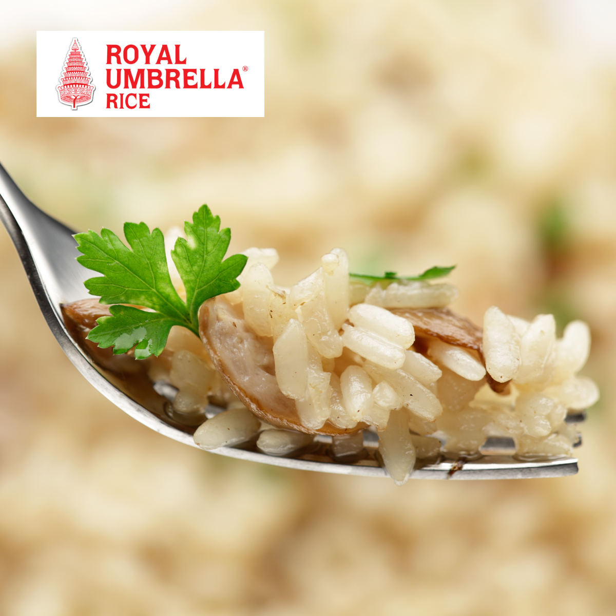 Risotto Form Thai Jasmine Rice | Royal Umbrella